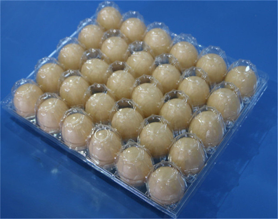 Disposable plastic egg tray 30 holes egg packaging box plastic egg tray 15 slots plastic clamshells egg tray 30 holes