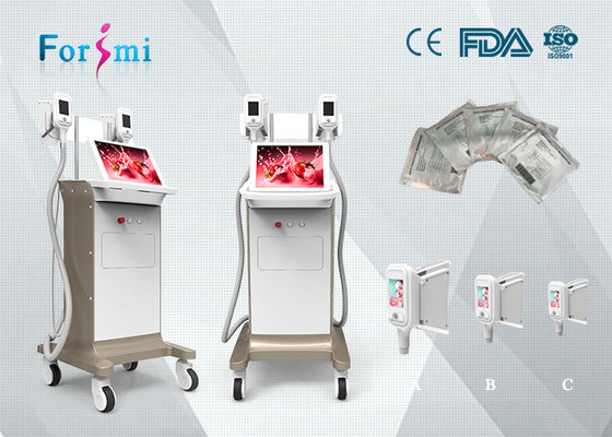 Cryolipolysis treatment 3.5 inch handle scree Cryolipolysis Slimming Machine FMC-I Fat Freezing Machine