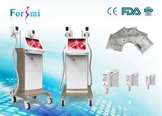 portable cryotherapy 3.5 inch Cryolipolysis Slimming Machine FMC-I Fat Freezing Machine