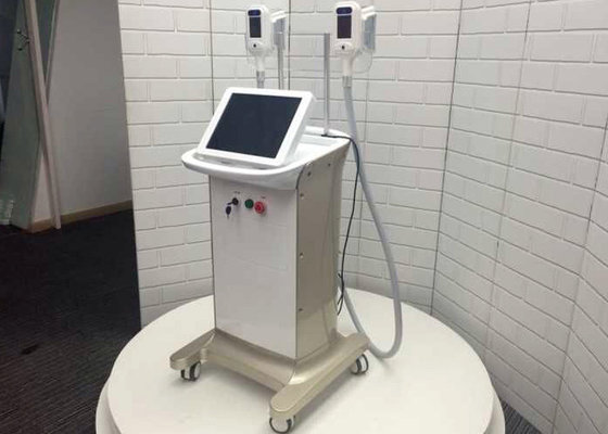 lipodissolve1800 W Cryolipolysis Slimming Machine FMC-I Fat Freezing Machine