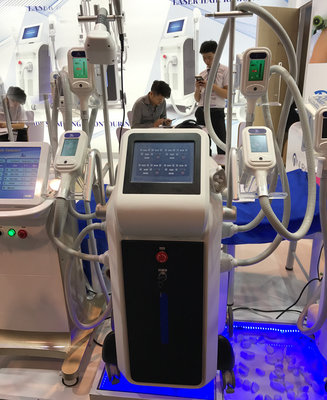 newest fda approval cryolipolysis slimming machine with 4 different handle sizes