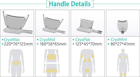 newest fda approval cryolipolysis slimming machine with 4 different handle sizes