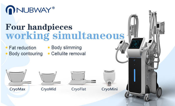4 handles Cryo Therapy Cool Sculpture Zeltiq cryolipolysis machine 2018