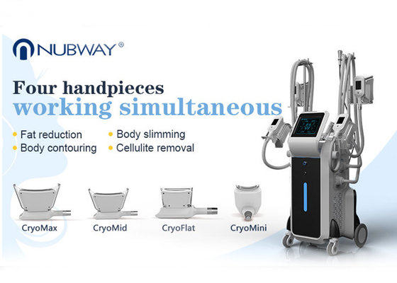 CE ISO Approved -15 Celsius strong cooling system cool shaping cryolipolysis machine 4 handles