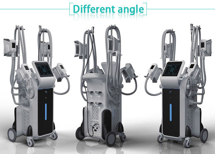 amazing results 1 month -15~5 celcius 4 handpieces cryolipolysis cold body sculpting machine