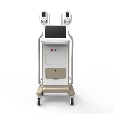 two handles work same time ,New Arrival Cool Cryolipolysis Machine effective results