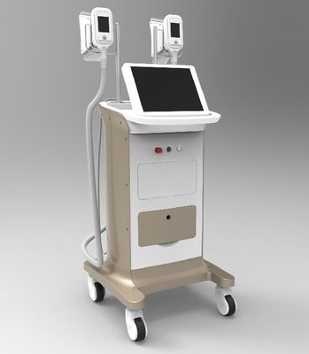 2 Filters (irona and impurity) Cryolipolysis Body Shaping Slimming Machine