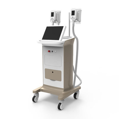 two handles work the same time Cryolipolysis Fat device for beauty