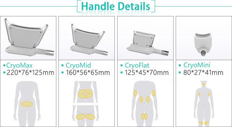 necessary for Slimming center best effective 4 handles body shaping machine cryolipolysis