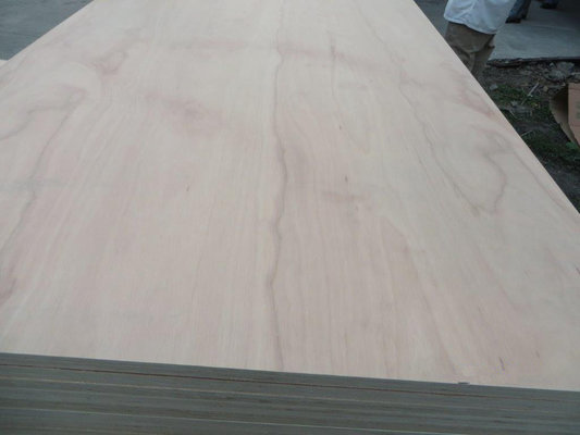 25mm commercial plywood/furniture grade plywood.poplar or hardwood core,1220*2440mm.12,15,18mm