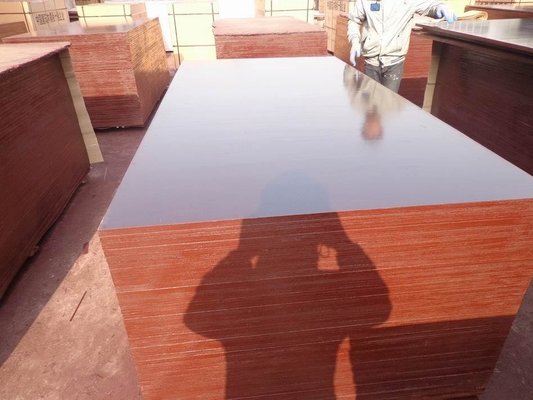 4x8 plywood cheap plywood sheet