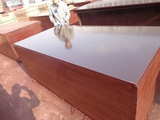 Dubai Importers For Plywood, Marine Plywood For Construction Duraplex marineplexs sunneyplexx Dyneaplexx