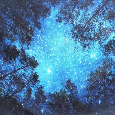 Forest Starry Tapestry Wall Hanging 3D Printing Forest Tapestry Galaxy Tapestry Forest Milky Way Tapestry