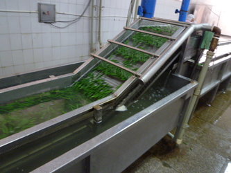 China Healthy Freeze Dried Food Online Marketplace