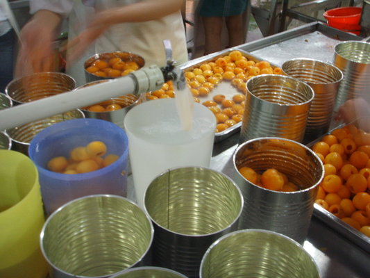 New Crop Healthy Canned Fruit 