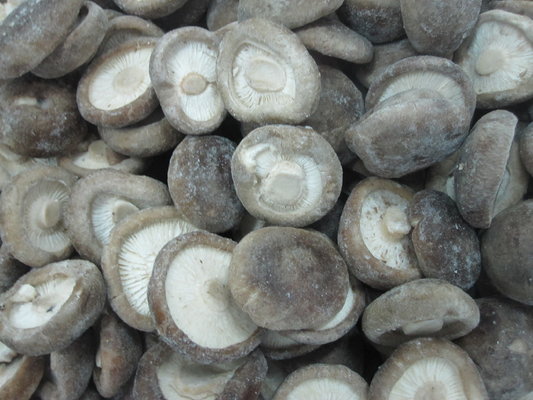 Healthy Freezing Fresh Mushrooms