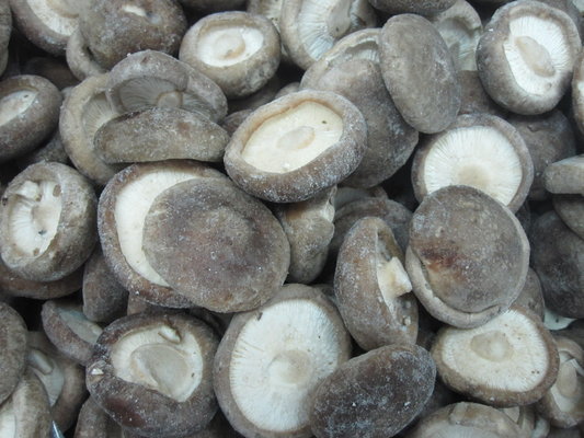 Healthy Freezing Fresh Mushrooms
