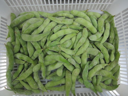 Delicious Freezing Fresh Beans