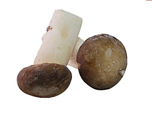 IQF Freezing Fresh Mushrooms 