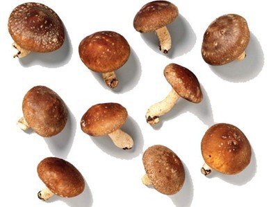 Healthy Freezing Fresh Mushrooms