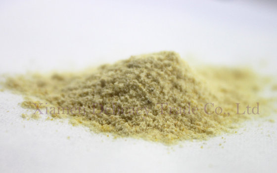 Freeze Dried Mango Fruit Powder