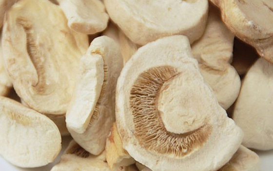 Natural Healthy Freeze Dried Food Fungus Mushroom Agaricus Freeze Drying Slice