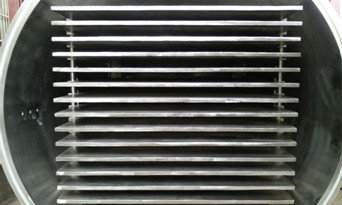 OEM Stainless Steel Health Freeze Dry Machine For Fruit Dehydrator