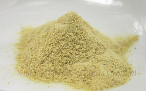 None Additive Safety Freeze Dried Fruits Papaya Powder for Restaurant / Hotel