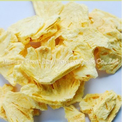 Freeze Dried Pineapple Slice