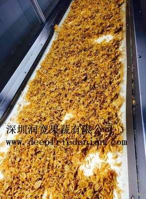Foreign Material Absent Deep Fried Onion Strings  No Sugar / Additive