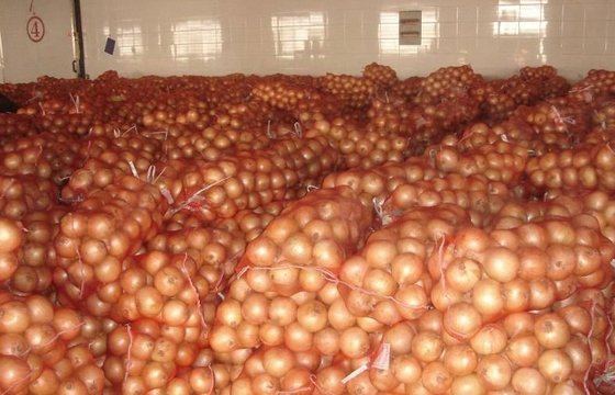 Round Golden Natural Fresh Onion For Mexican Cuisine Contains Fibre And Fat, Round or high round, Suitable for export