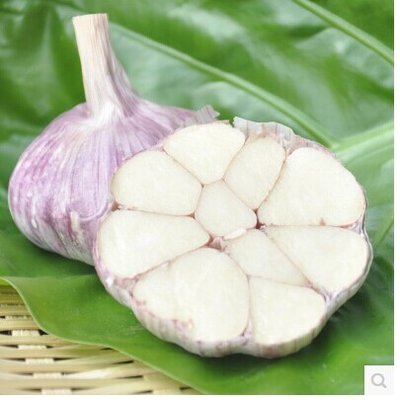 Fresh Garlic Se enriched garlic China shandong jinxiang garlic red garlic
