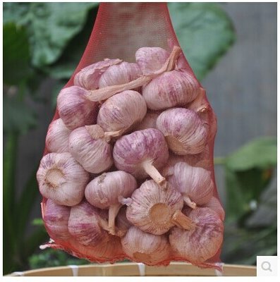 Fresh Garlic Se enriched garlic China shandong jinxiang garlic red garlic