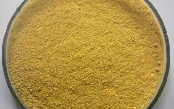 Nutritive Freeze Dried Passion Fruit Powder for Baking Juices Desserts