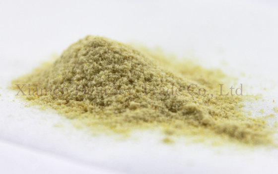 Mango Freeze Dried Fruit Powder 