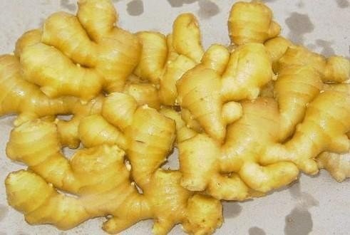 Big Bright Yellow Fresh Ginger In Richful Of Vitamin , Protein 20kg/mesh Bag