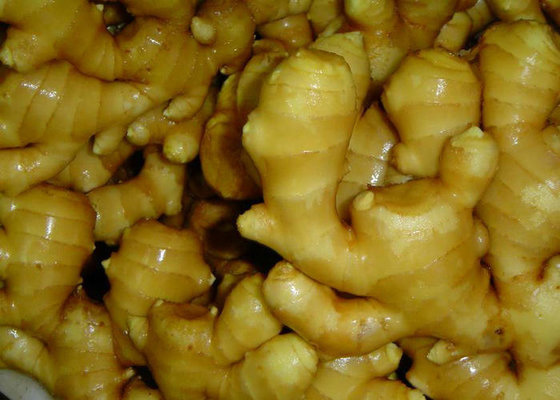 Professional Air Dry Fresh Ginger 300g ,100% Nature And Green Food