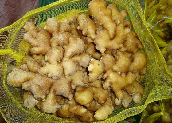 Delicious High Nutrition fresh Young Ginger 350g , No Rotten / No Mouldy