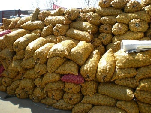 2014 New Crop Thin Skin Smooth Fresh Holland Potatoes 50 - 100g No Fleck