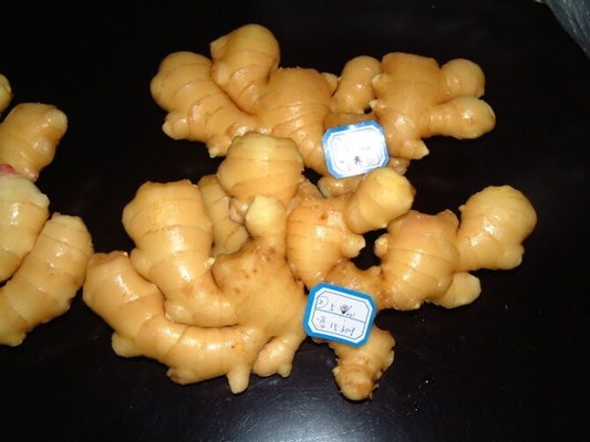 2015 Organic China Bulk Supply Fresh Ginger