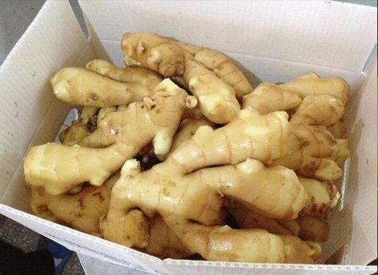 2015 Organic China Bulk Supply Fresh Ginger