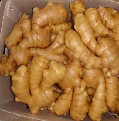 Fresh Ginger