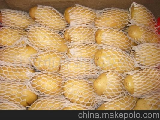 Healthy Smooth Organic Holland Potato , High In Starch 200g And Up