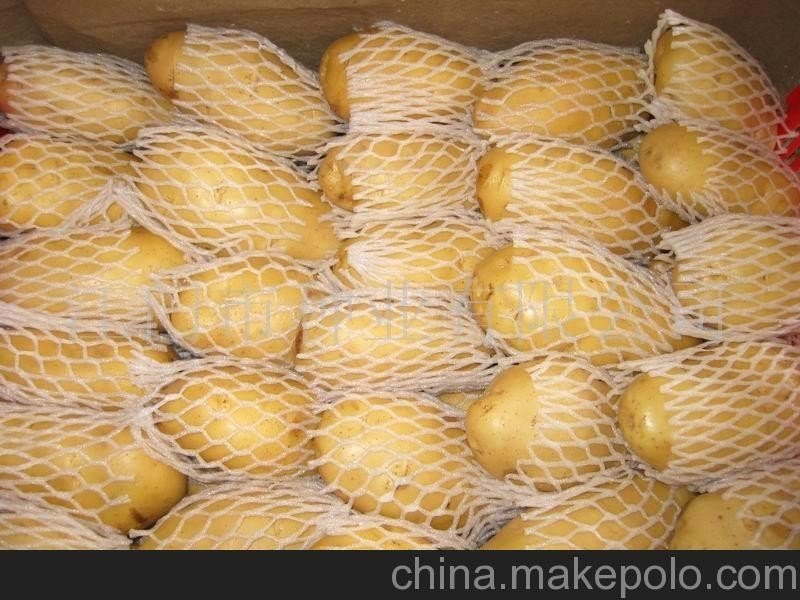 Healthy Smooth Organic Holland Potato , High In Starch 200g And Up