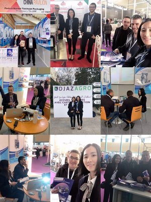 Arabic bread packing machine pita packaging machine China Factory Automatic arabic pita bread packaging machine