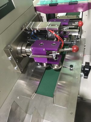 CE certificate Taichuan vegetable pillow packaging machine with three servo motor