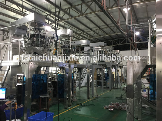 CE certificate Automatic Sunflower Seeds& vegetable seeds detergent powder Vertical Packaging Machine for small business