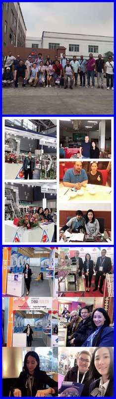 hot sell good accurately automatic grain sugar coffee bean,rice ,sachet,snack,salt packaging machine