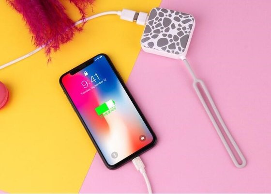 Portable Fun Electronic Gifts Cartoon Charge Pal USB Hand Warmer For Winter Gift