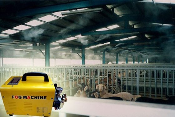 Fog Machine supplier